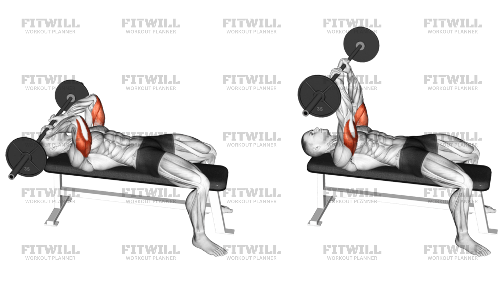 Barbell Lying Triceps Extension Skull Crusher: Exercise Guide, Video ...