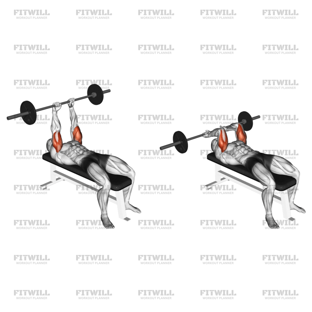 Barbell Lying Triceps Extension: Exercise Guide, Techniques, Benefits ...