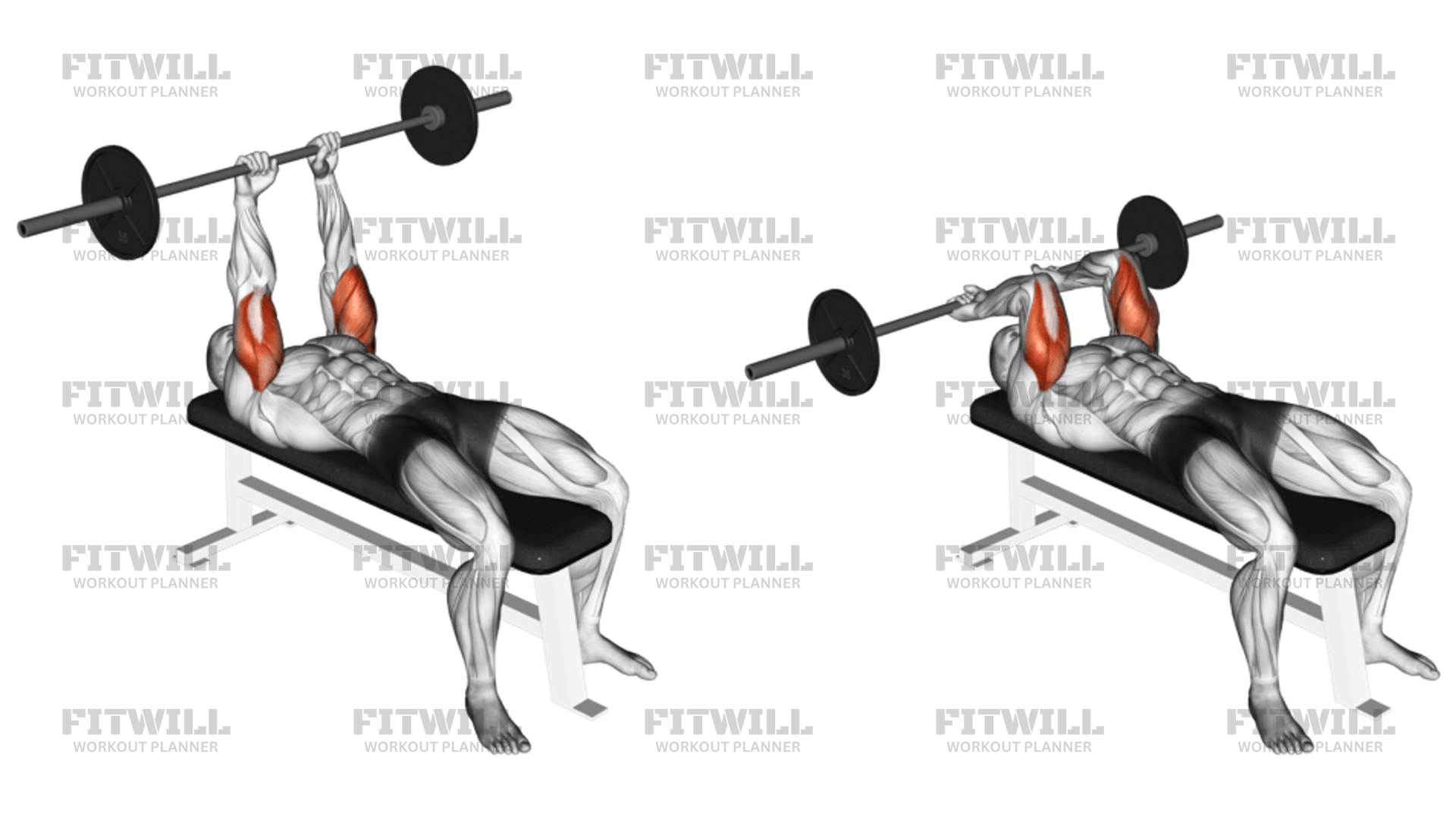 Barbell Lying Triceps Extension: Exercise Guide, Techniques, Benefits ...