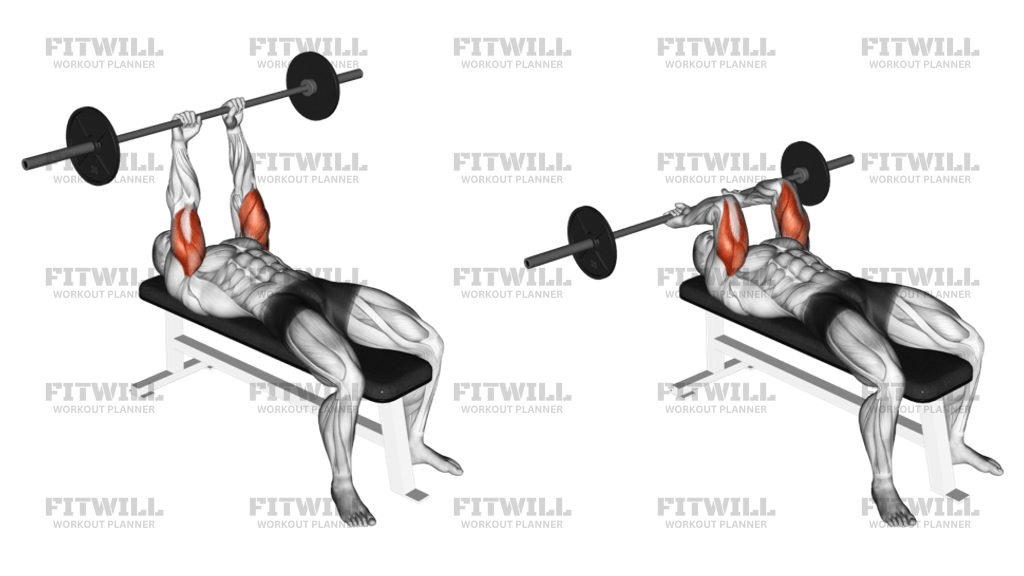 Barbell Lying Triceps Extension: Exercise Guide, Techniques, Benefits ...