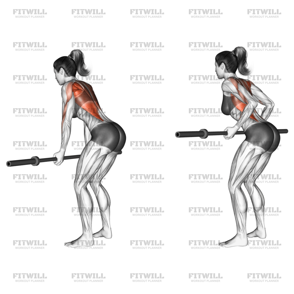 Barbell Narrow Row: Exercise Guide, Techniques, Benefits, How to ...