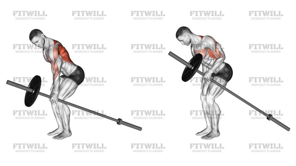 Barbell One Arm Bent Over Row: Exercise Guide, Video, Techniques ...