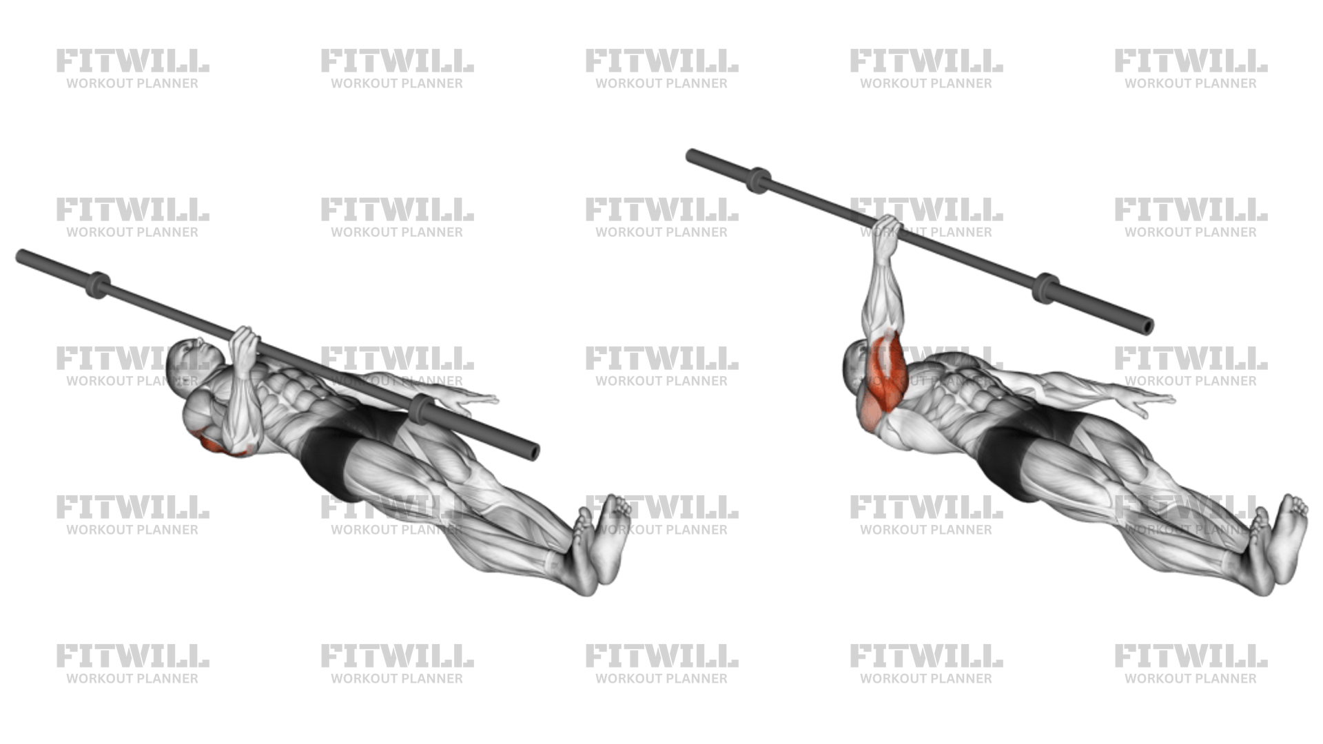 Barbell One Arm Floor Press: Exercise Guide, Techniques, Benefits, How ...