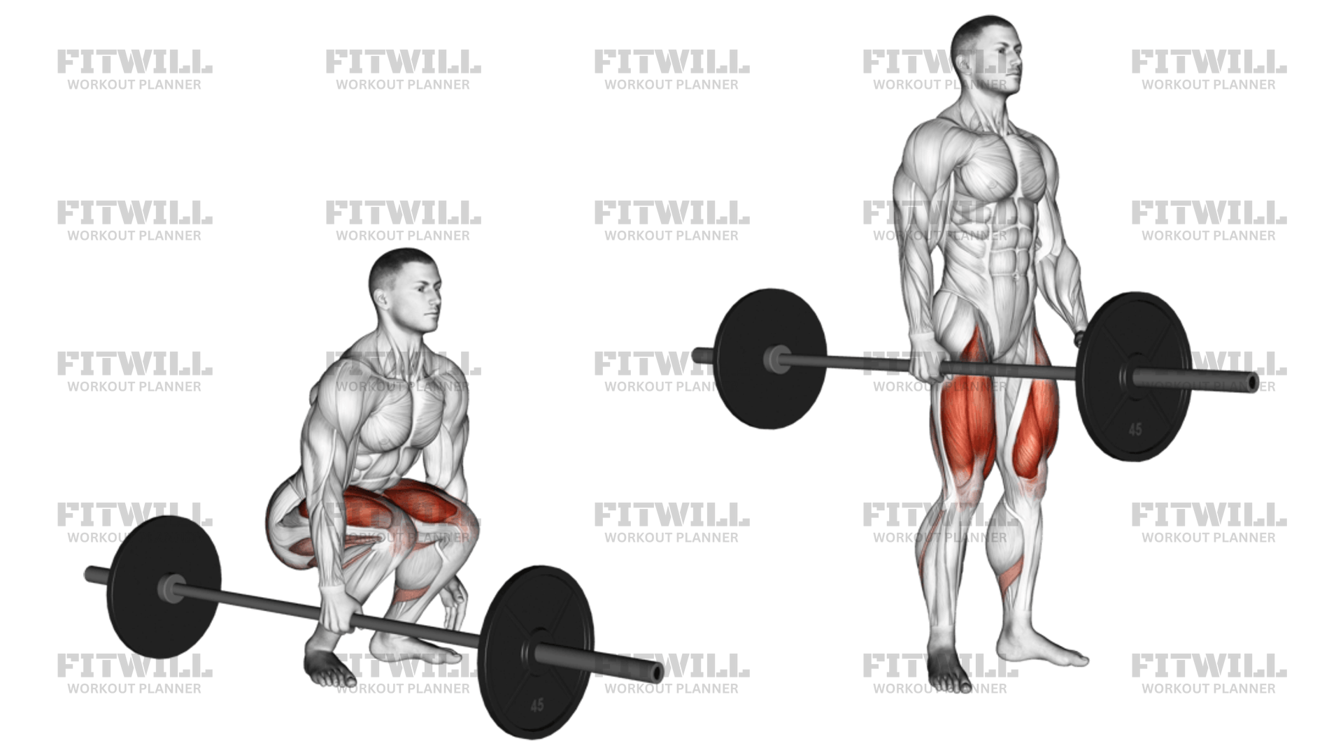 Barbell One Arm Side Deadlift: Exercise Guide, Video, Techniques ...