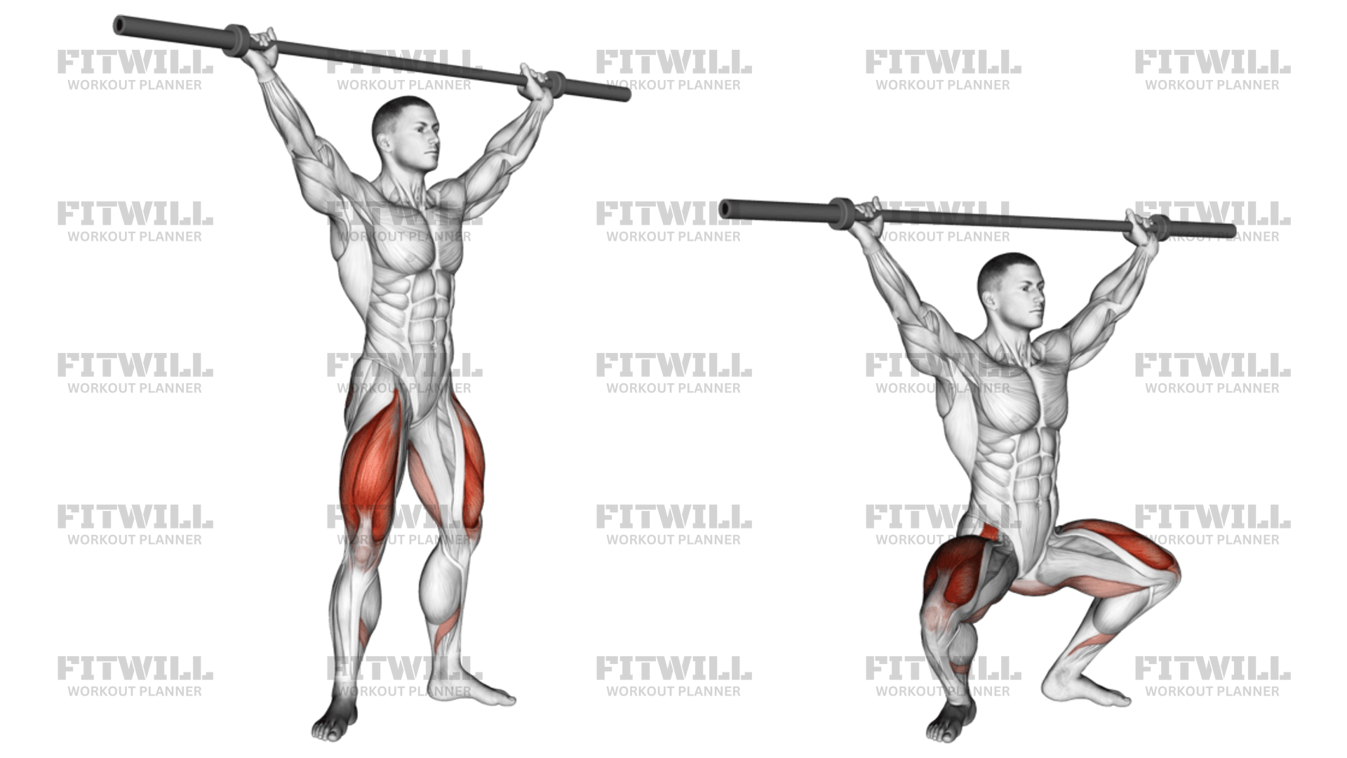 Barbell Overhead Squat: Exercise Guide, Video, Techniques, Benefits ...