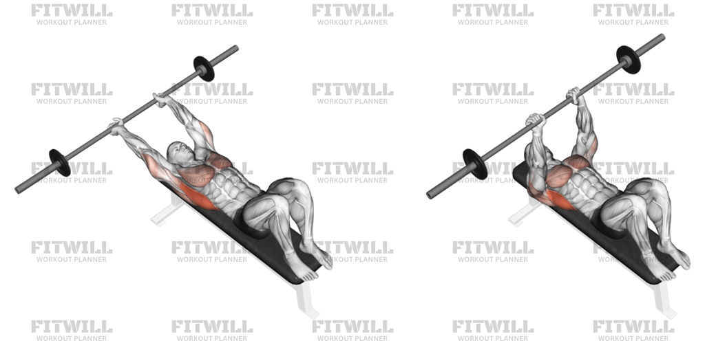 Pullover Con Barra: Guía de Ejercicios, Técnicas, Beneficios, Cómo ...