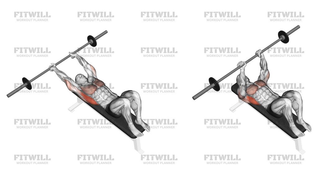 Pullover Con Barra: Guía de Ejercicios, Técnicas, Beneficios, Cómo ...