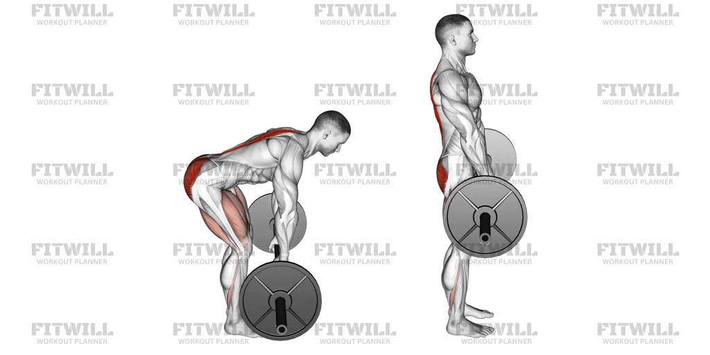 Barbell Rack Pull: Exercise Guide, Video, Techniques, Benefits, How to ...