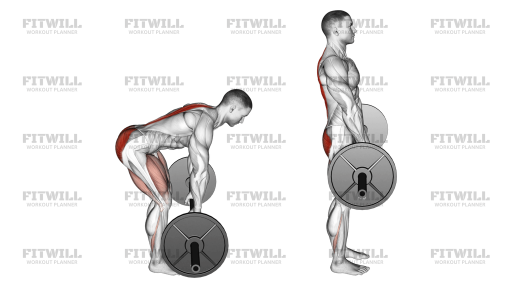How to do Barbell Rack Pull: Techniques, Benefits, Tips & Tricks | Fitwill
