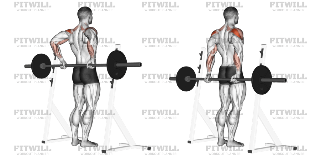 Barbell Rear Delt Raise: Exercise Guide, Video, Techniques, Benefits ...