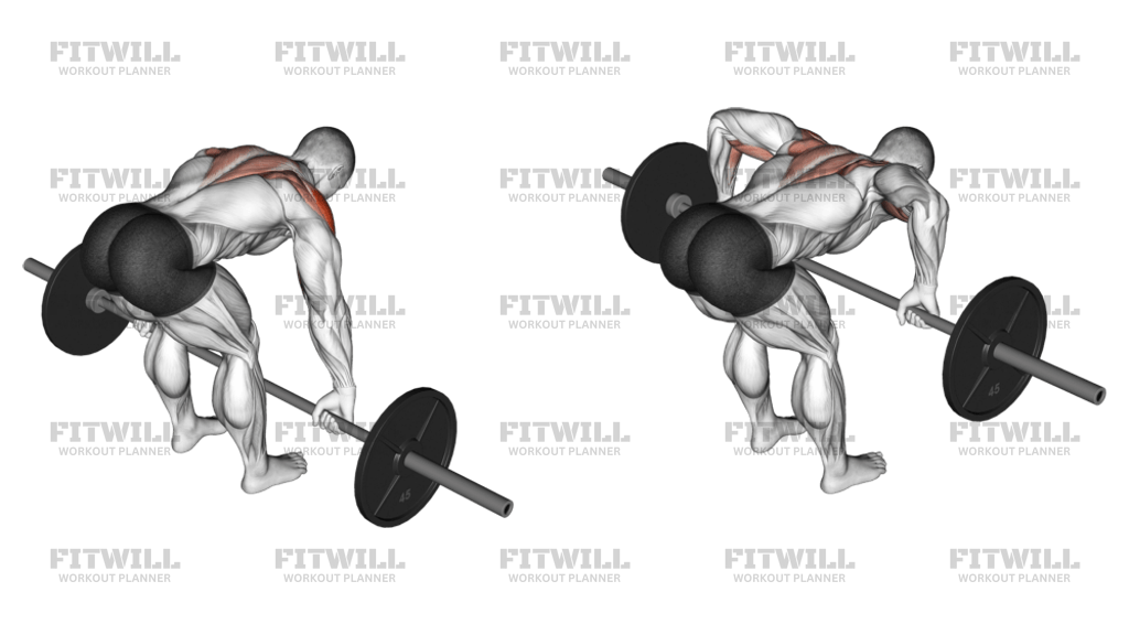 Remo Con Barra Para Deltoides Posteriores: Guía de Ejercicios, Video ...