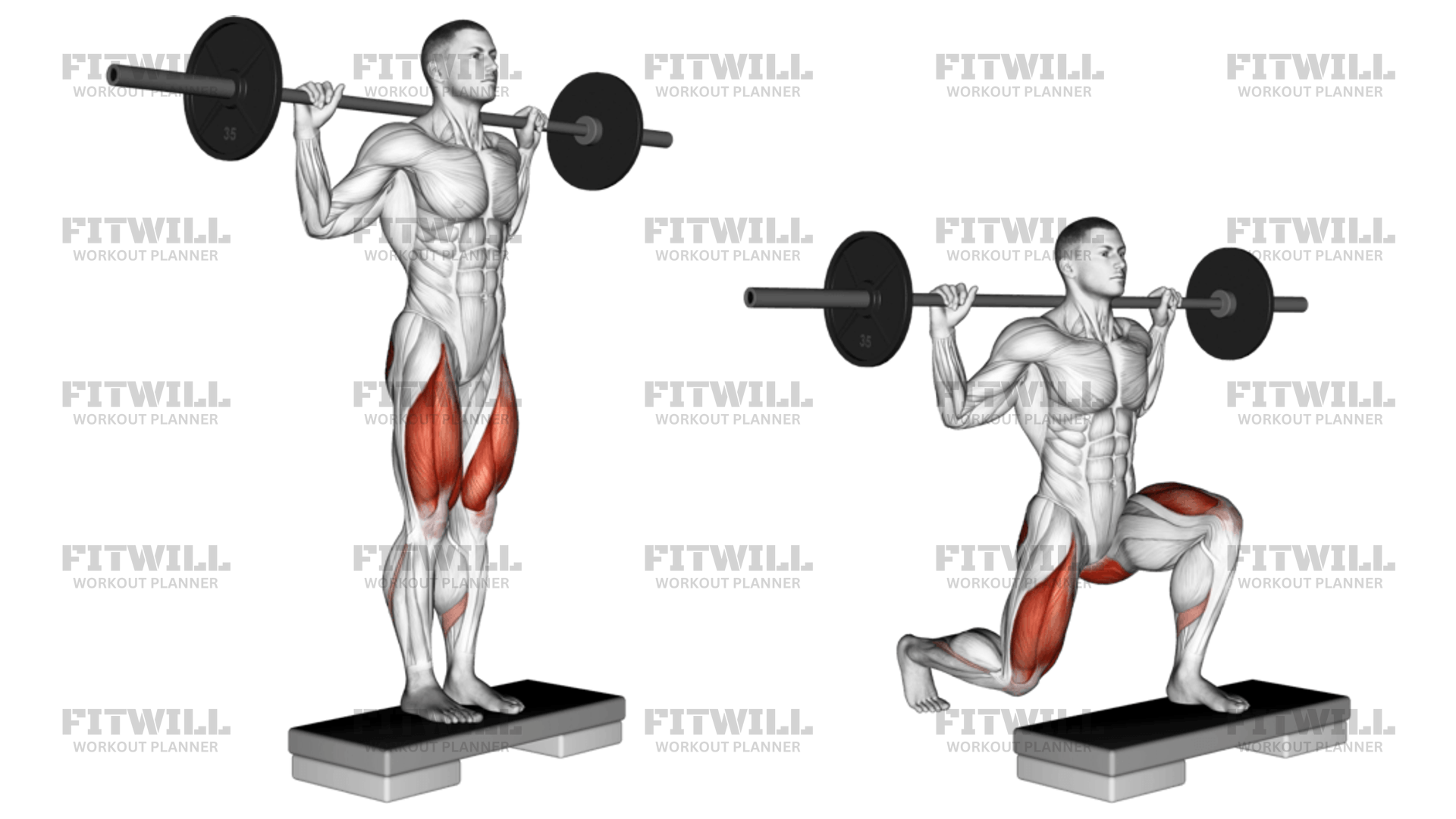 Barbell Rear Lunge (version 2): Exercise Guide, Video, Techniques ...