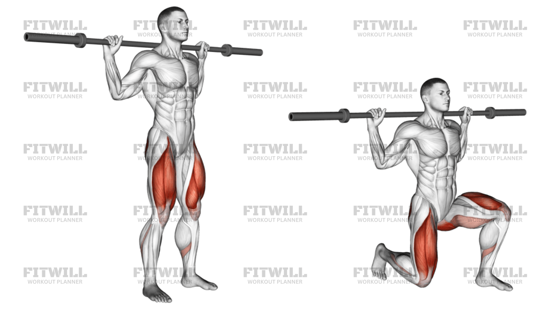 Barbell Rear Lunge: Exercise Guide, Video, Techniques, Benefits, How to, Muscles Worked, Tips ...