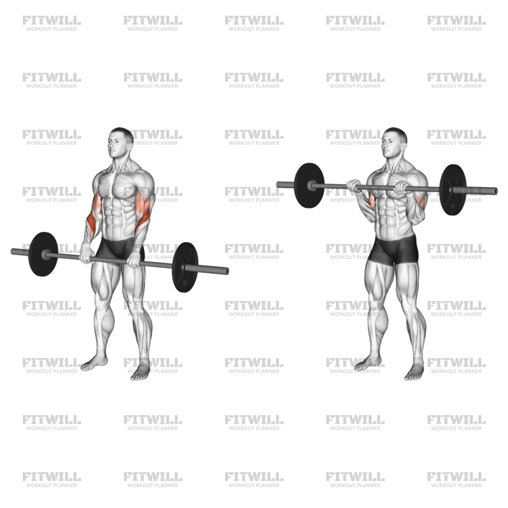 Superset Arms Workout: Build Your Biceps and Triceps with Precision ...