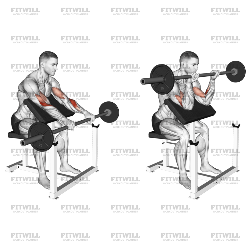 Barbell Reverse Preacher Curl: Exercise Guide, Video, Techniques ...