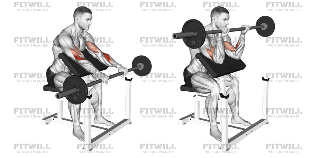 Barbell Reverse Preacher Curl: Exercise Guide, Video, Techniques ...