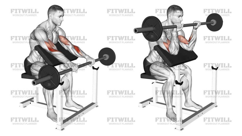 Barbell Reverse Preacher Curl: Exercise Guide, Video, Techniques ...