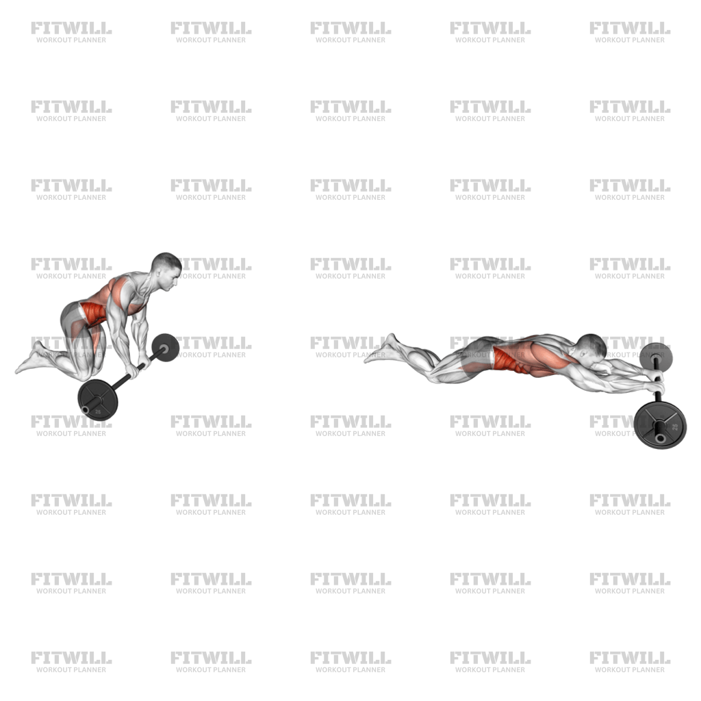 Barbell Rollout: Exercise Guide, Video, Techniques, Benefits, How to ...