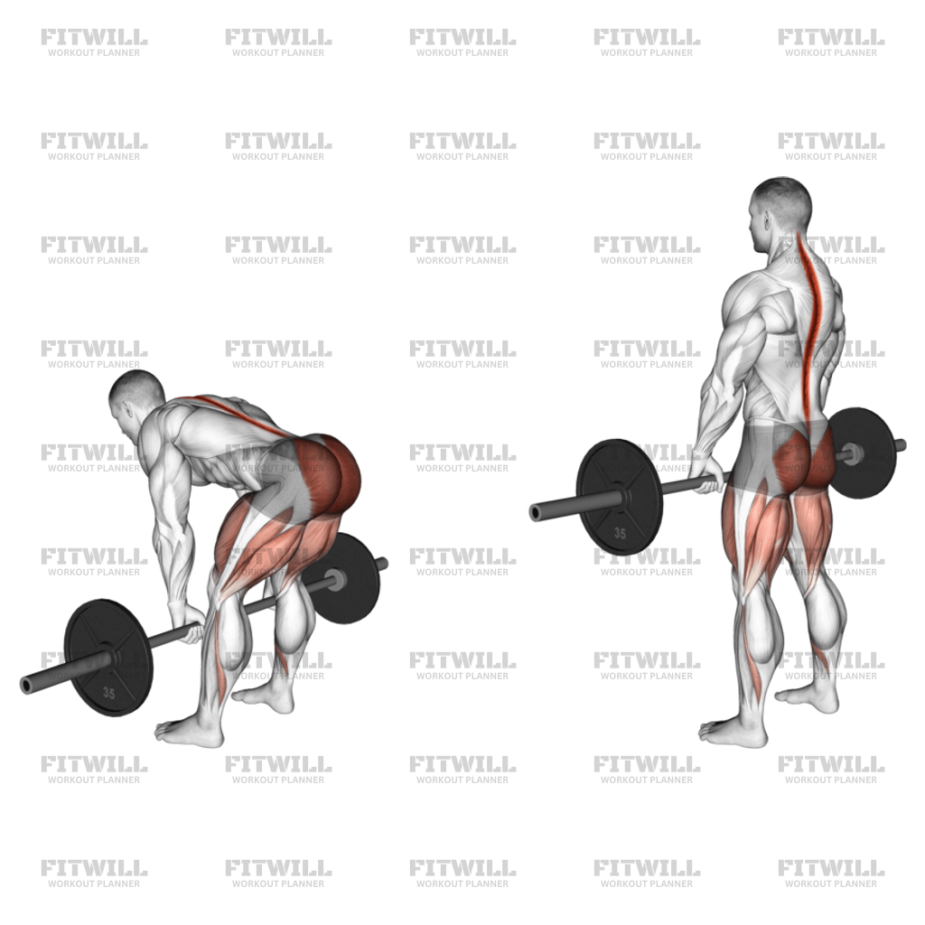Barbell Romanian Deadlift: Exercise Guide, Video, Techniques, Benefits ...