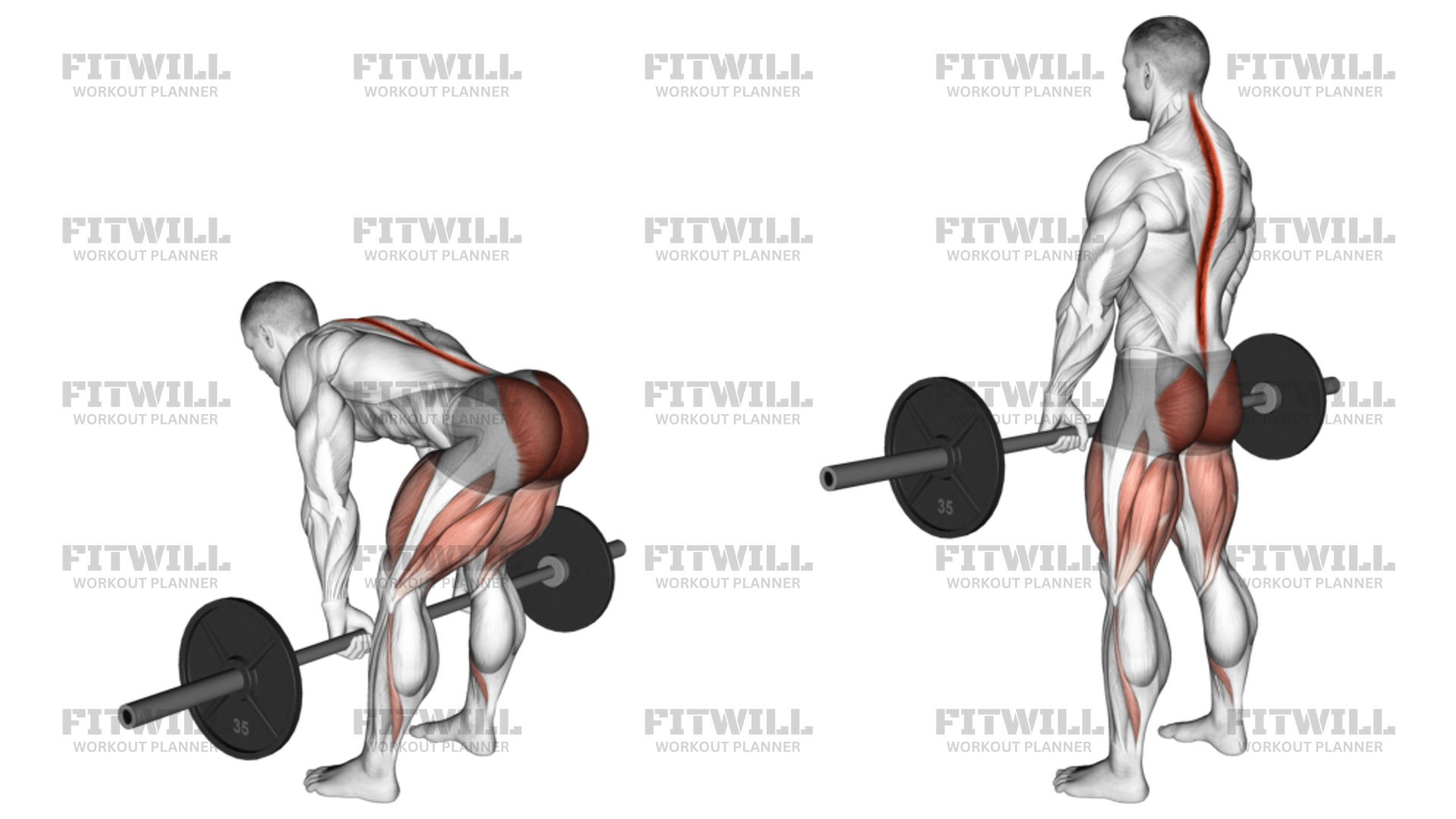 Barbell Romanian Deadlift: Exercise Guide, Video, Techniques, Benefits ...