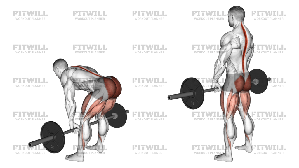 Barbell Romanian Deadlift: Exercise Guide, Video, Techniques, Benefits ...