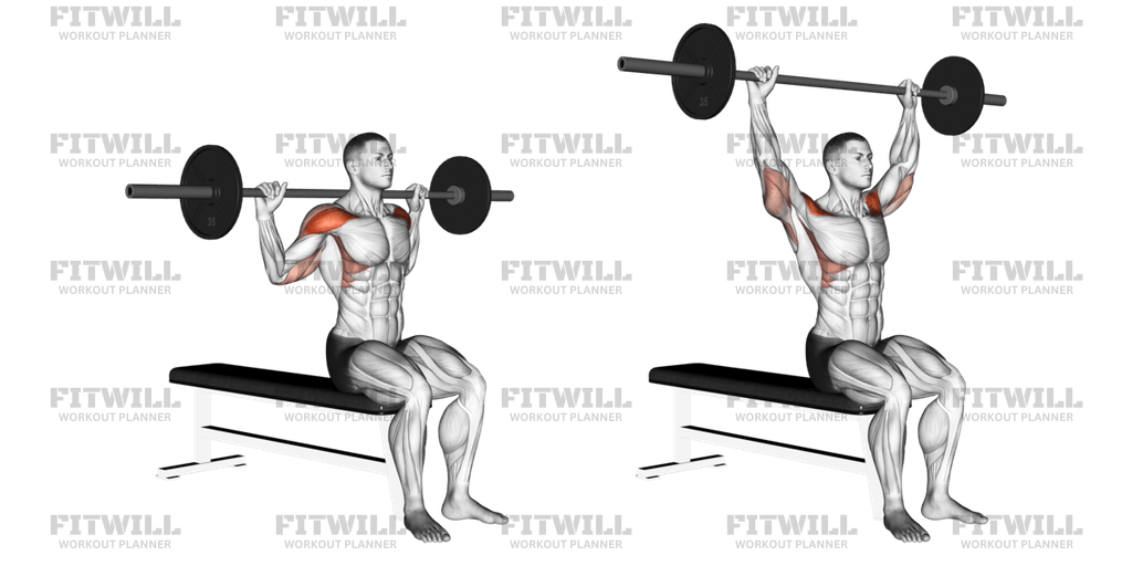 Complete Barbell Shoulder Workout for Mass and Definition | Workout ...
