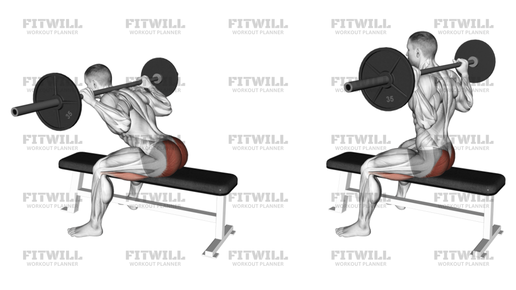 Buenos Días Sentado Con Barra: Video de Ejercicio | Fitwill
