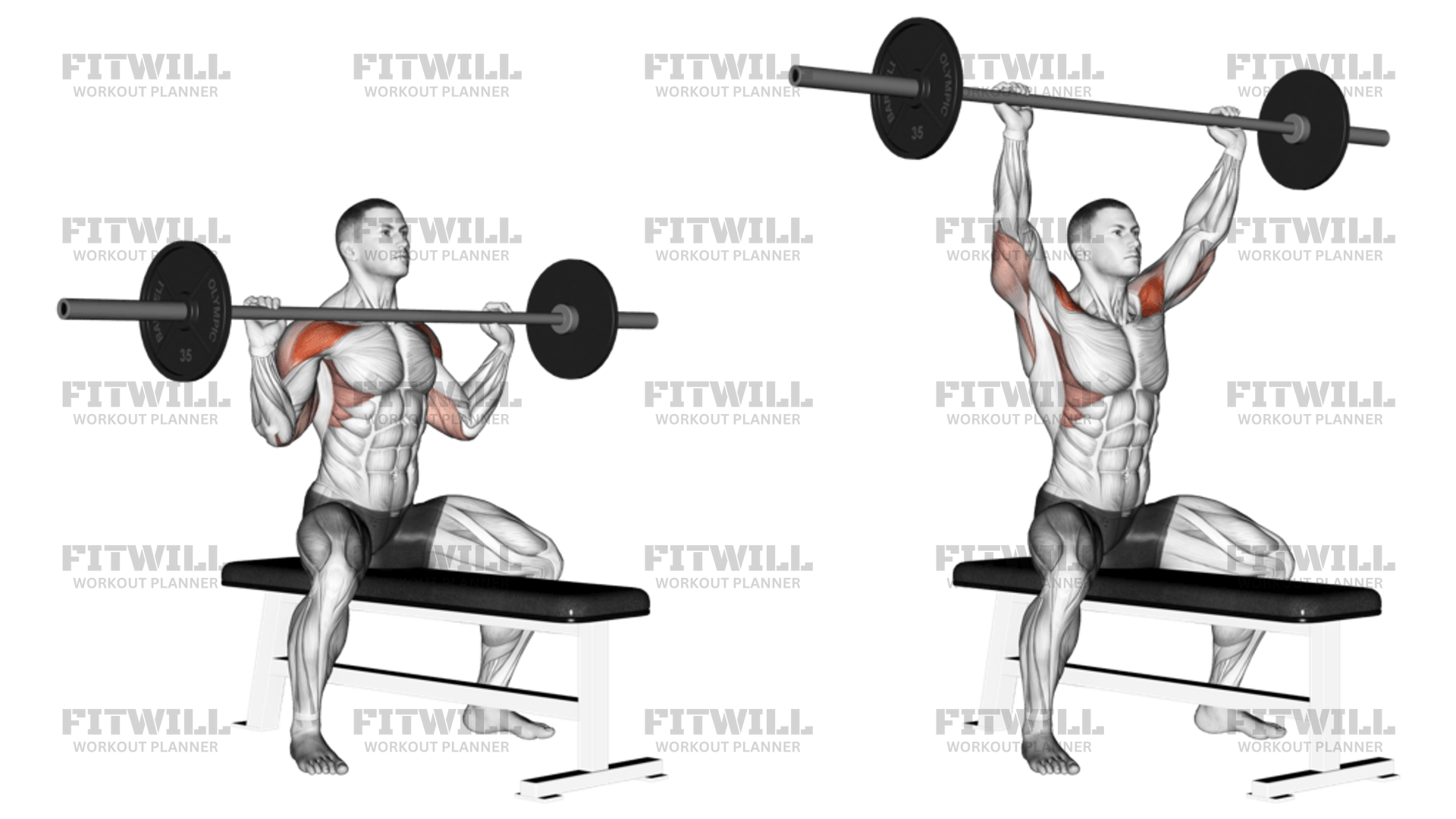 Sculpt Strong and Defined Shoulders with This Complete Shoulder Workout ...