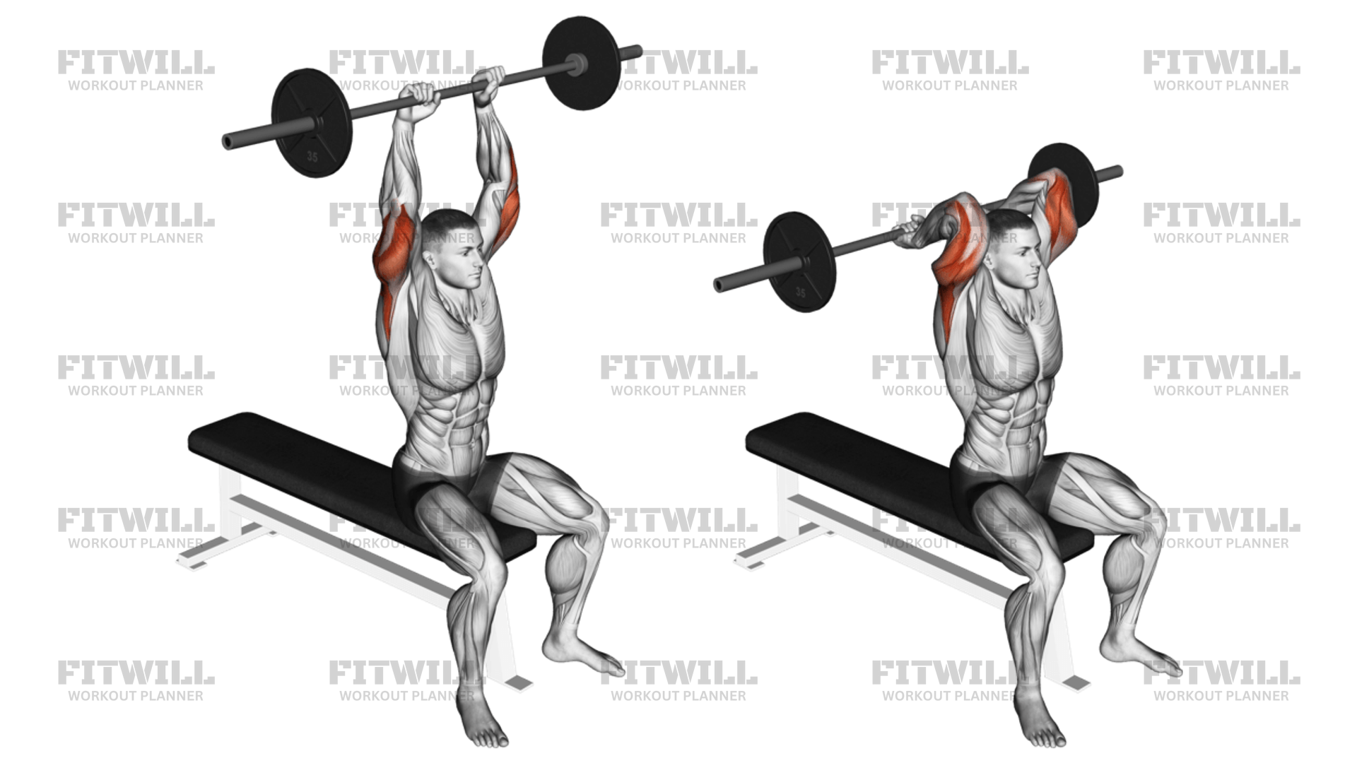 Barbell Seated Overhead Triceps Extension: Exercise Guide, Video ...