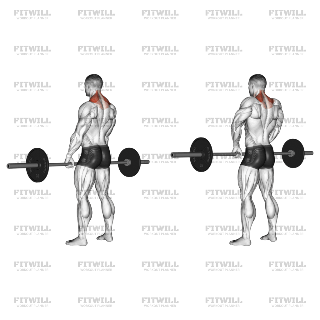 Barbell Shrug: Exercise Guide, Video, Techniques, Benefits, How to ...