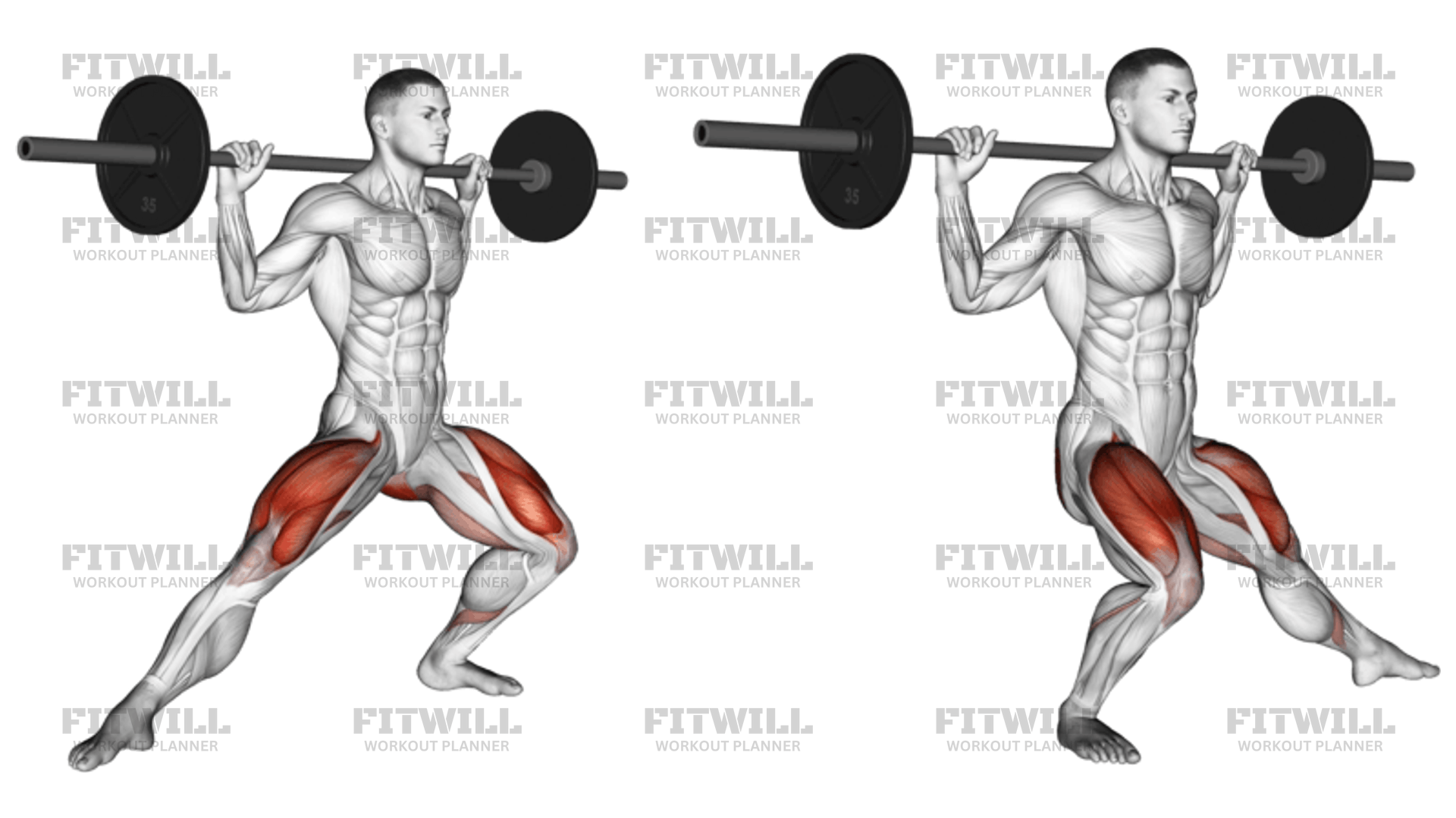 Sentadilla Dividida Lateral Con Barra: Guía de Ejercicios, Técnicas ...