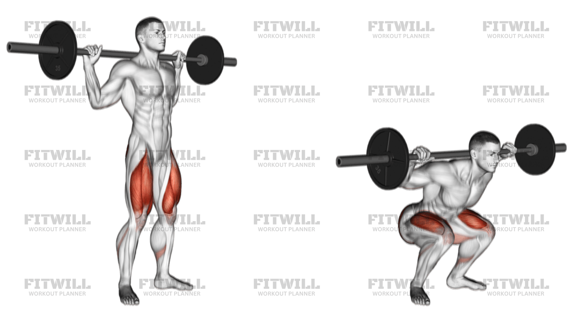 Barbell Speed Squat: Exercise Guide, Techniques, Benefits, How to ...