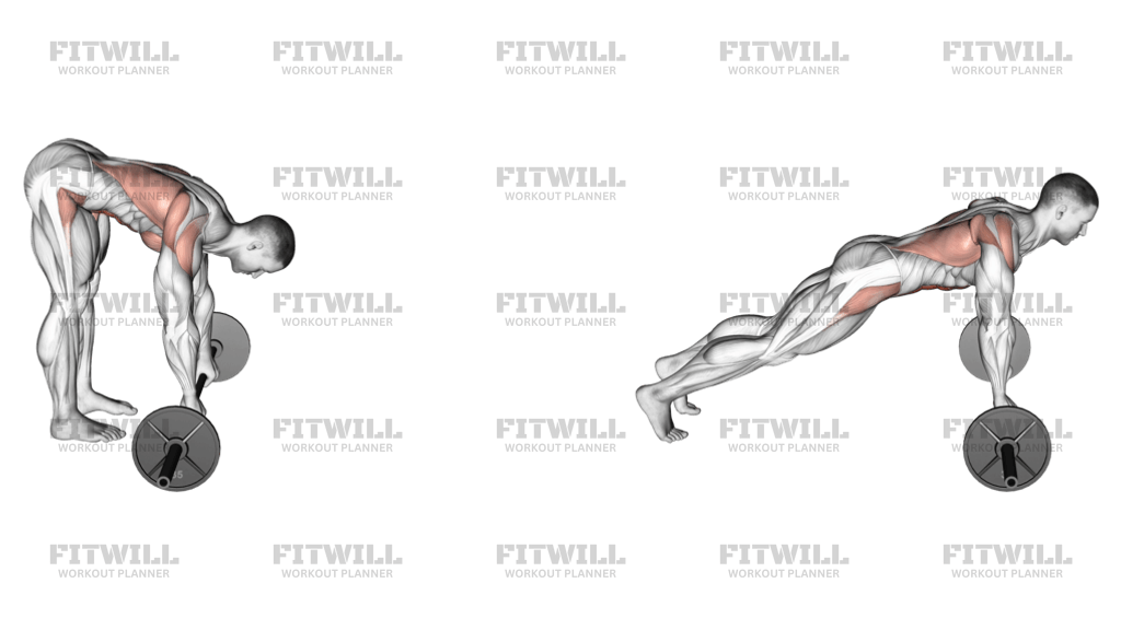 Barbell Standing Ab Rollout: Exercise Guide, Techniques, Benefits, How ...