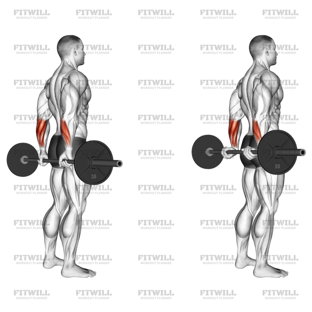 Barbell Standing Back Wrist Curl: Exercise Guide, Video, Techniques, Benefits, How to, Muscles ...