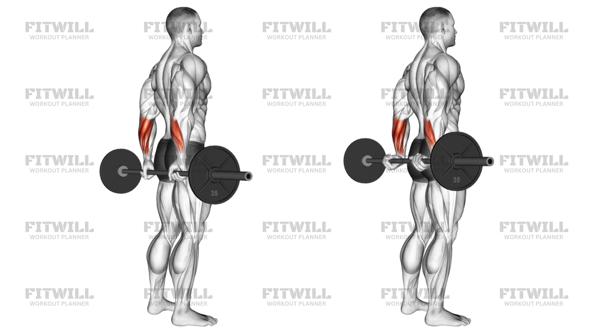 Barbell Standing Back Wrist Curl: Exercise Guide, Video, Techniques ...