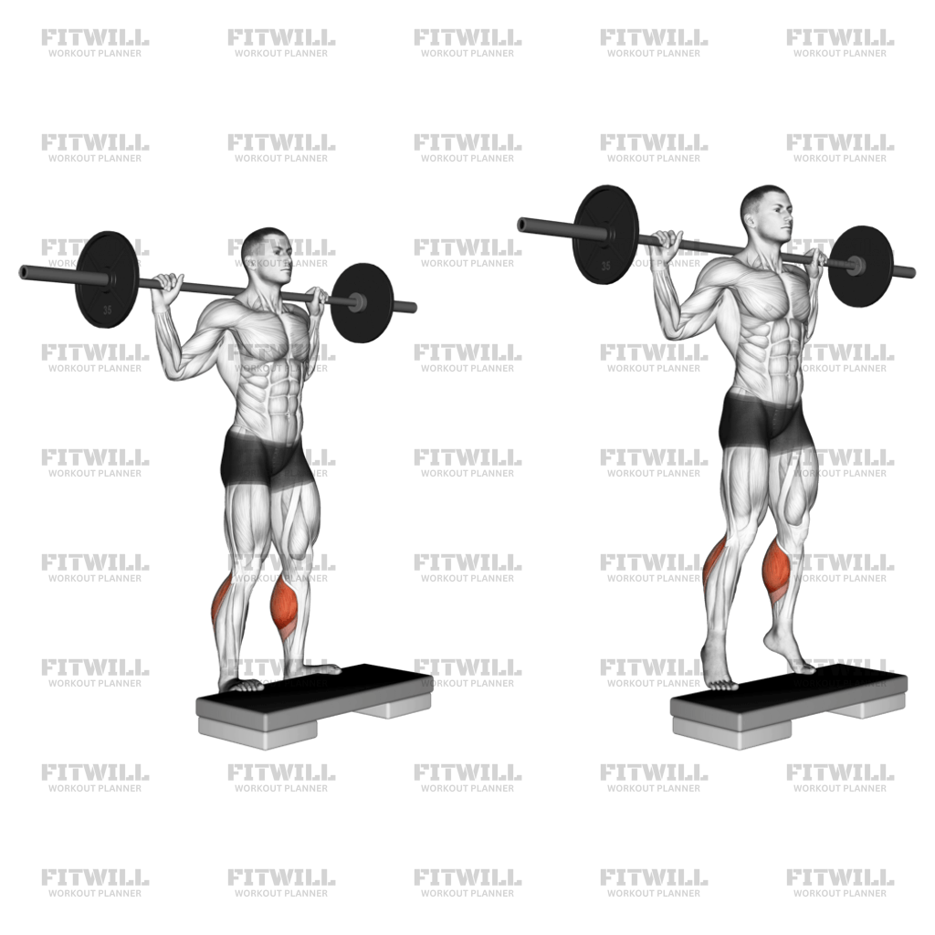 Barbell Standing Leg Calf Raise: Exercise Guide, Video, Techniques ...