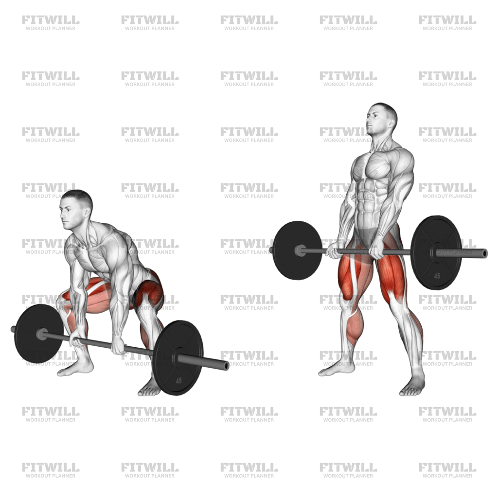 Barbell Sumo Deadlift: Exercise Guide, Video, Techniques, Benefits, How ...