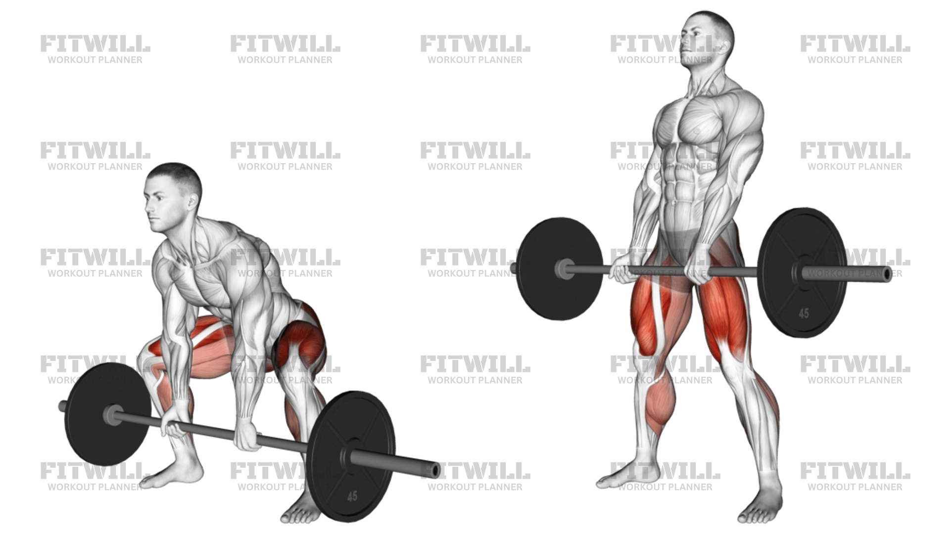 Barbell Sumo Deadlift: Exercise Guide, Video, Techniques, Benefits, How ...
