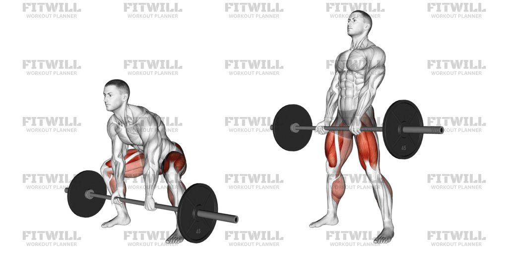 Barbell Sumo Deadlift: Exercise Guide, Video, Techniques, Benefits, How ...