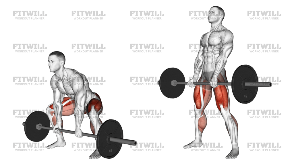 Peso Muerto Sumo Con Barra: Guía de Ejercicios, Video, Técnicas ...