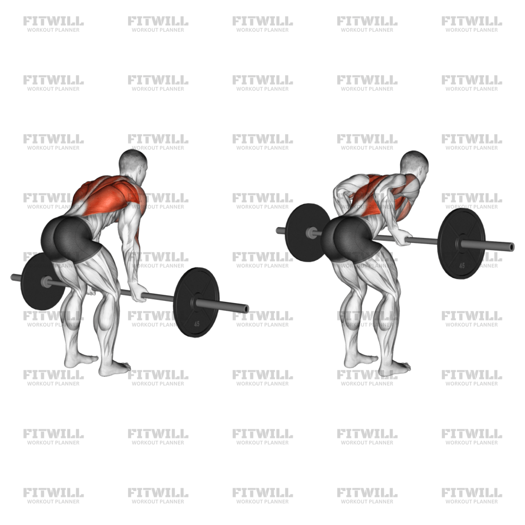 Barbell Reverse Grip Bent Over Row: Exercise Guide, Video, Techniques ...