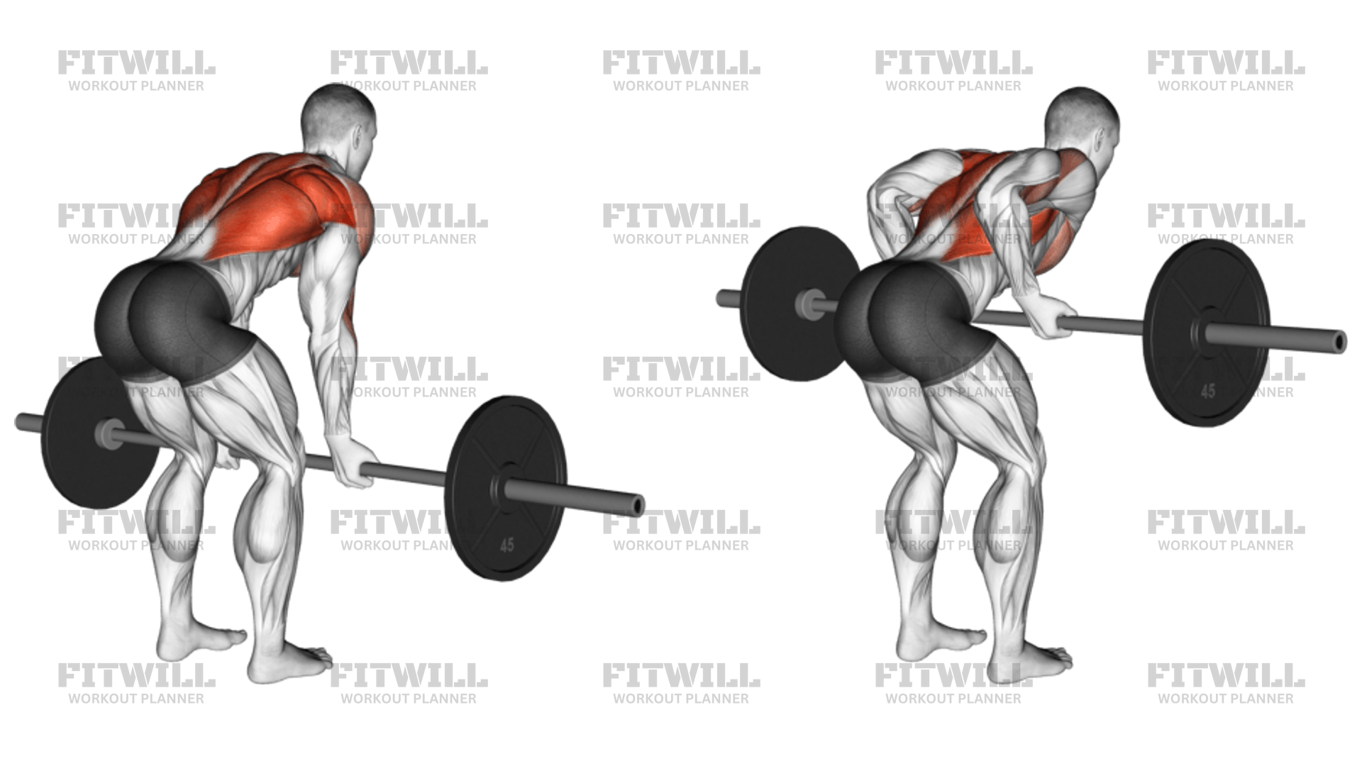 Barbell Reverse Grip Bent Over Row: Exercise Guide, Video, Techniques ...