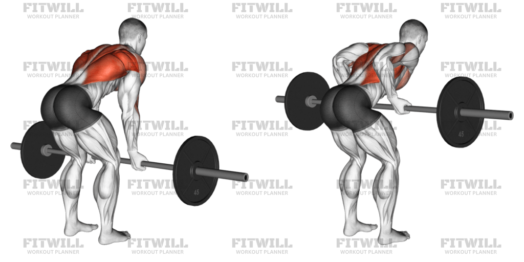 Barbell Reverse Grip Bent Over Row: Exercise Guide, Video, Techniques ...