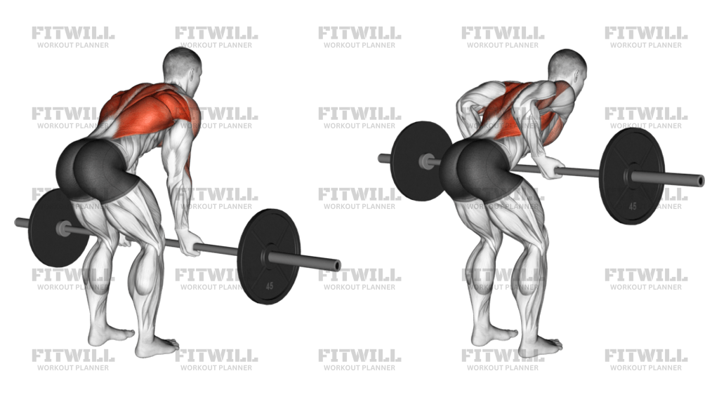 Barbell Reverse Grip Bent Over Row: Exercise Guide, Video, Techniques ...