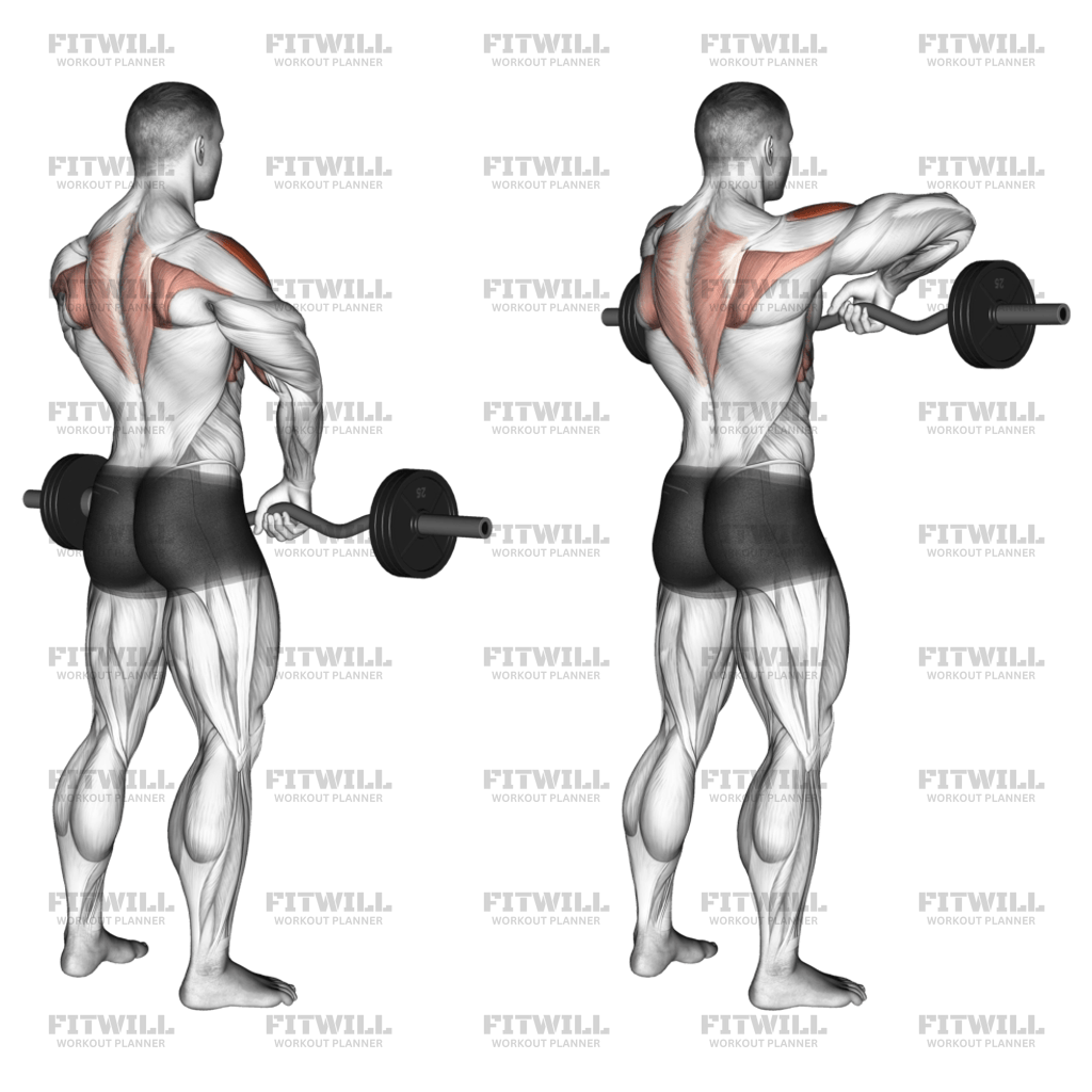 Barbell Upright Row: Exercise Guide, Video, Techniques, Benefits, How ...