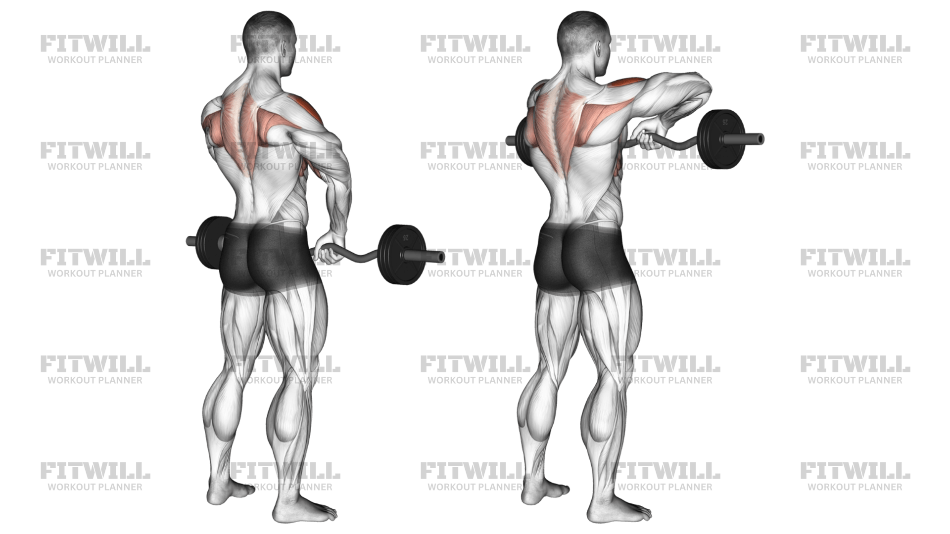 Remo Vertical Con Barra: Guía de Ejercicios, Video, Técnicas ...