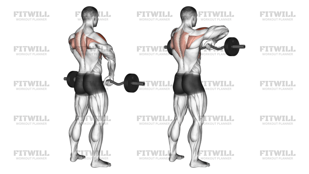 Barbell Upright Row: Exercise Guide, Video, Techniques, Benefits, How ...