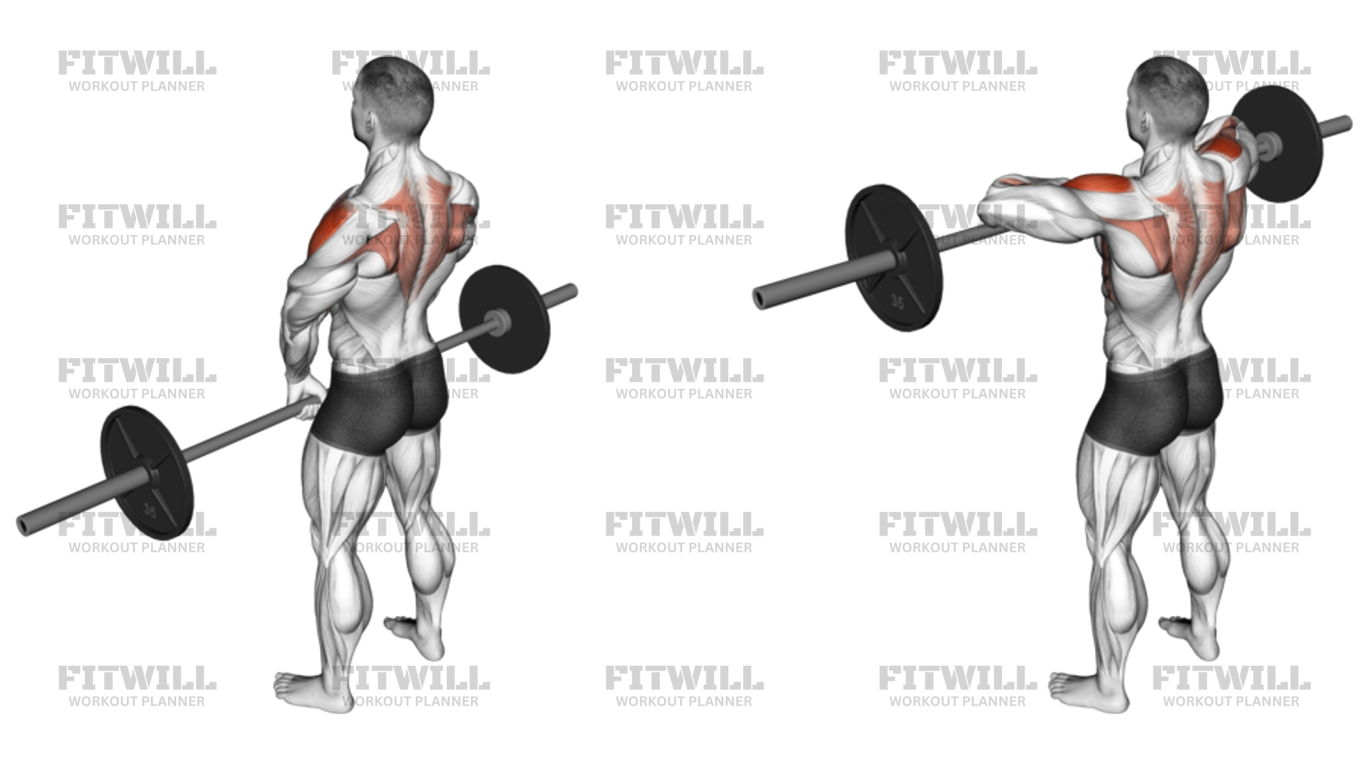 Remada Alta Com Barra: Guia de Exercícios, Vídeo, Técnicas, Benefícios ...