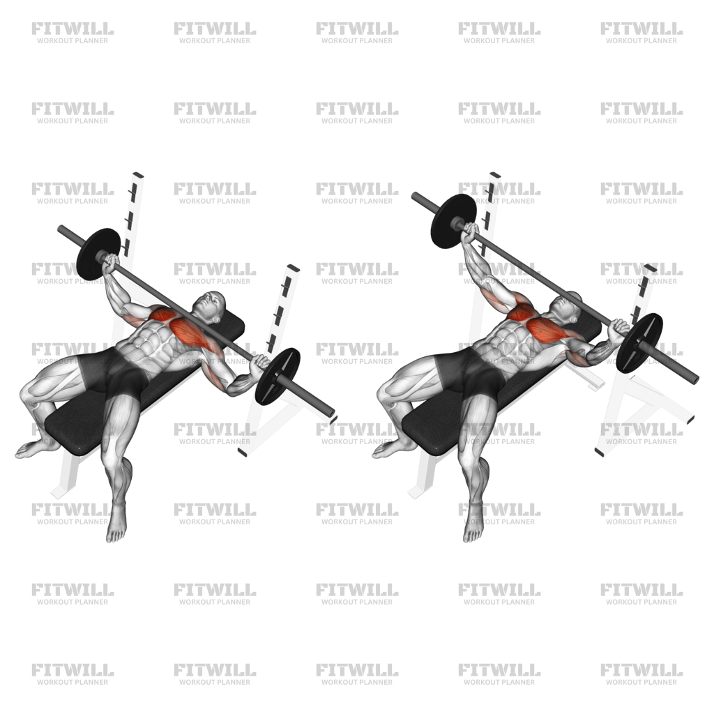 Supino Reto Com Pegada Larga: Guia de Exercícios, Vídeo, Técnicas ...