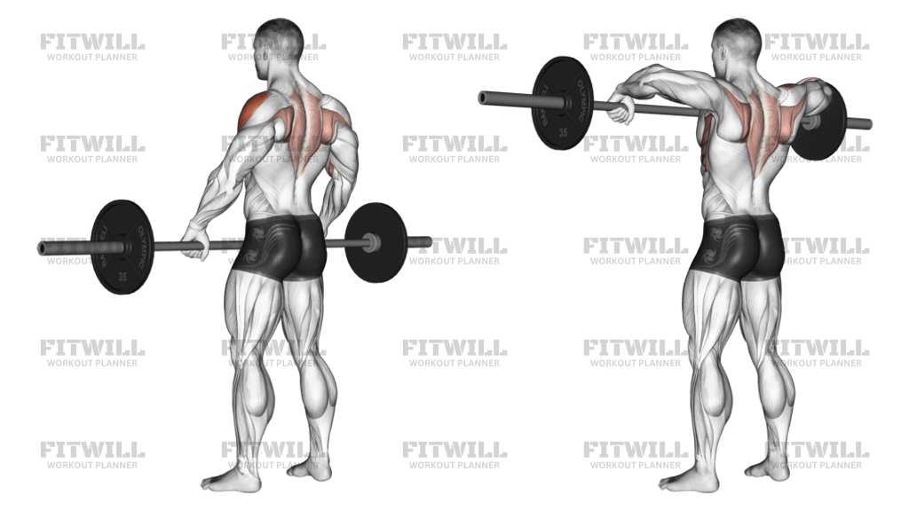 Remo Vertical Con Barra Y Agarre Amplio: Guía de Ejercicios, Video ...